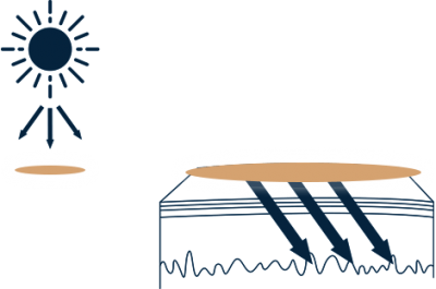 Our Products - Mylifewave